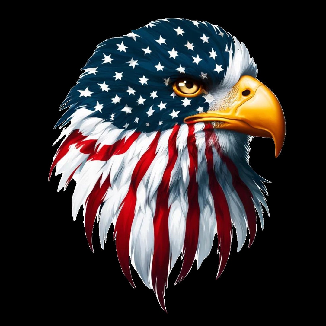 USA Eagle, Digital File for Artwork. - Etsy