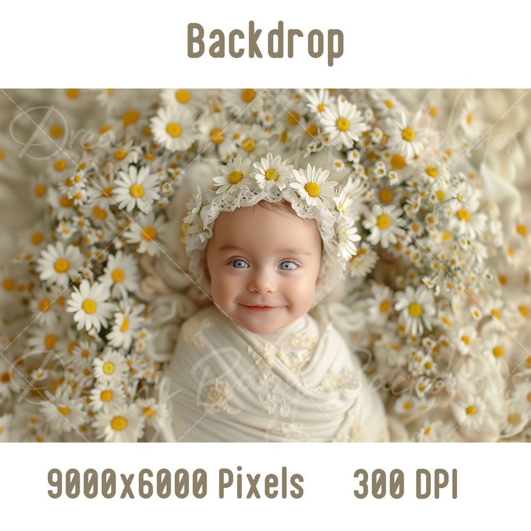 Newborn Digital Backdrop, Newborn Baby White Daisy Photography ...