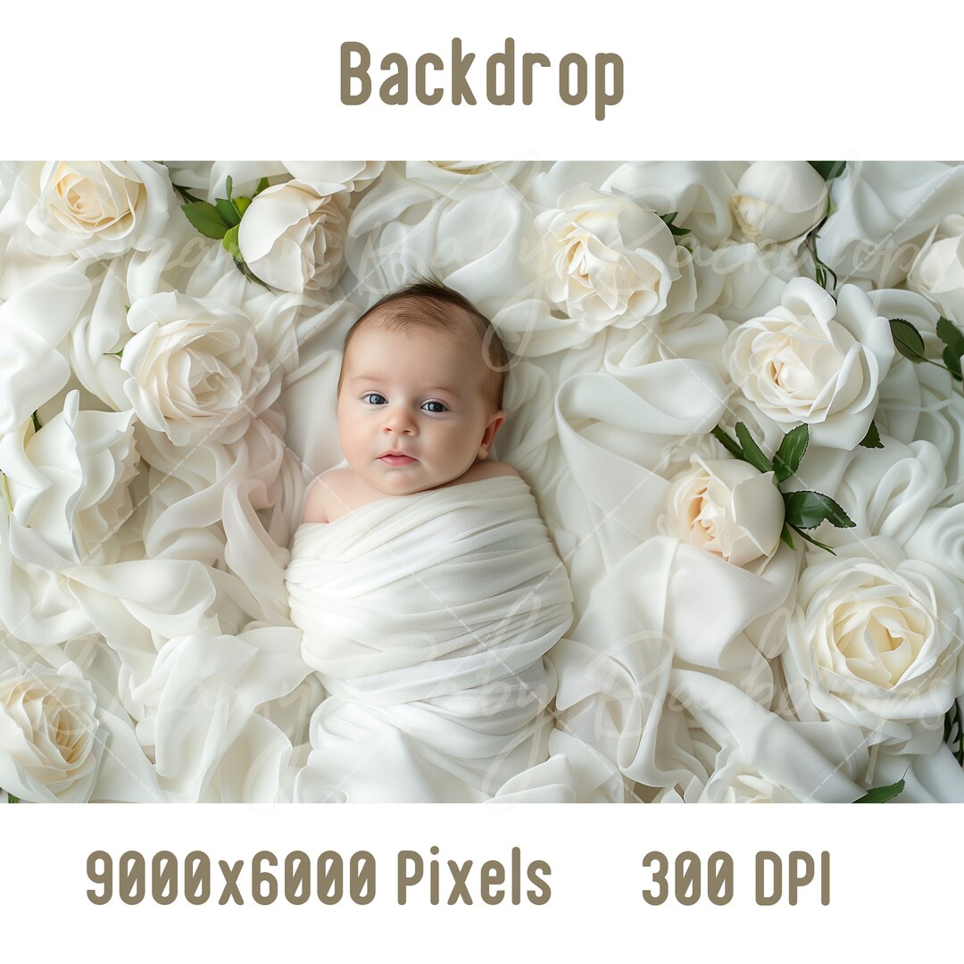 Newborn Digital Backdrop, Newborn Baby White Rose Photography ...