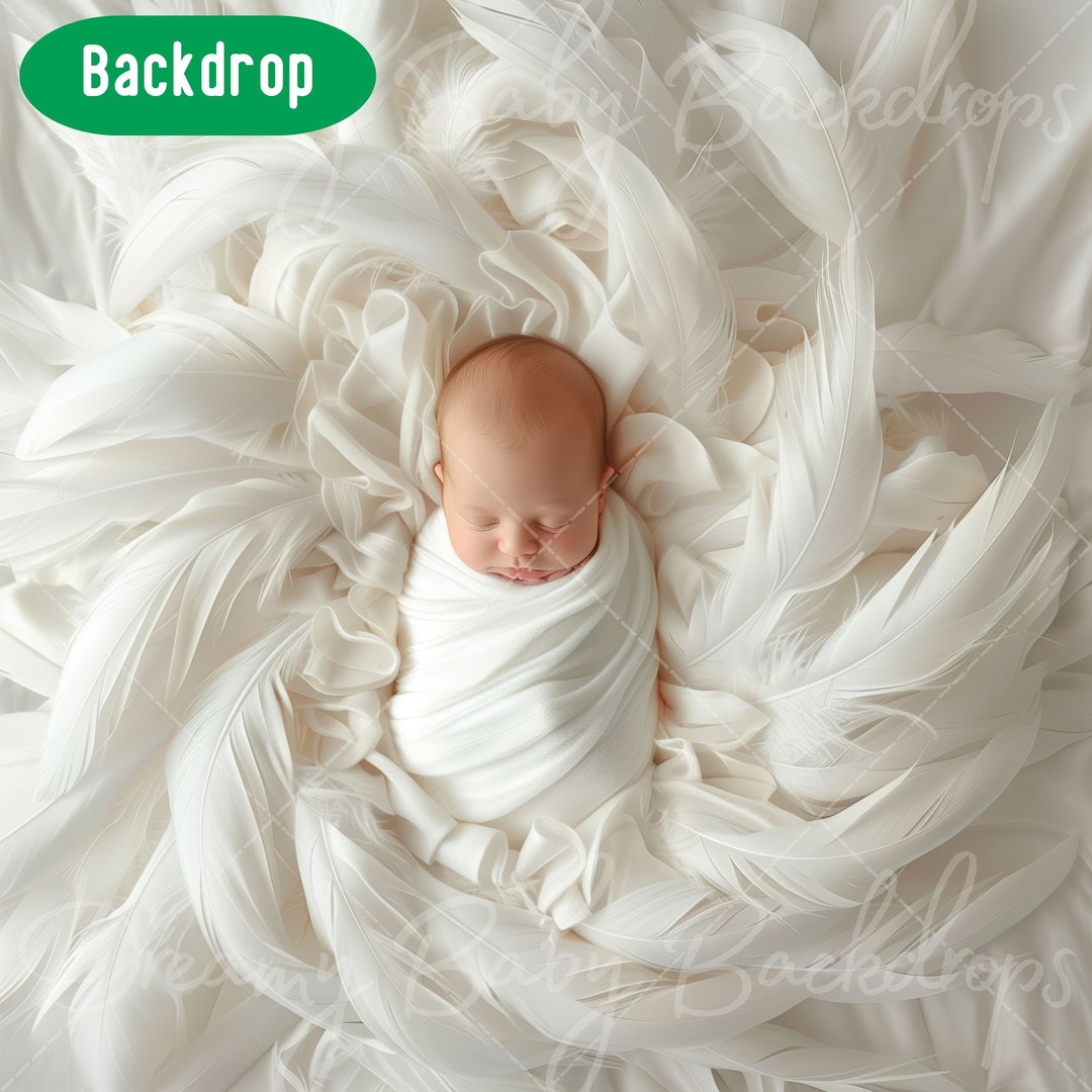 Newborn Digital Backdrop, Newborn Baby White Feather, Bird's Nest ...