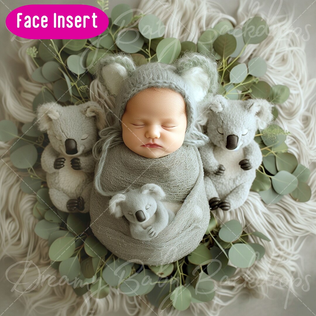 Newborn Digital Backdrop Face Insert, Newborn Baby Koala Faceswap ...