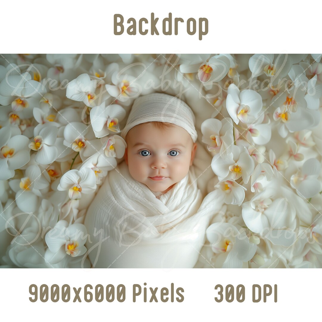 Newborn Digital Backdrop, Newborn Baby White Orchid Photography ...