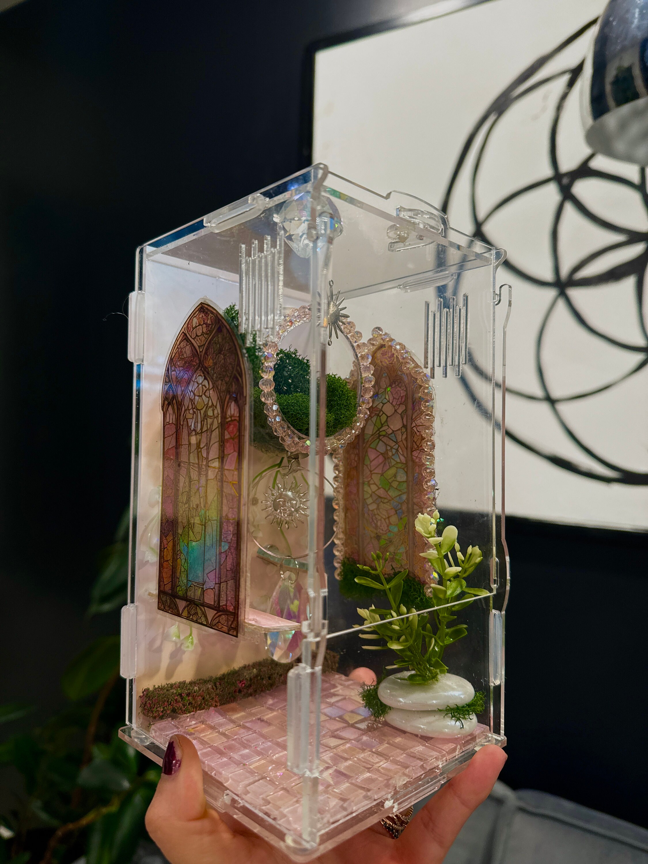 Elegant Jumping Spider Enclosure - Etsy