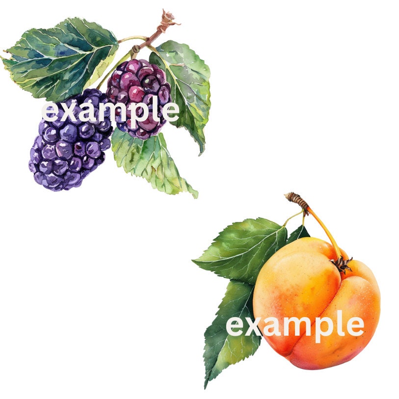 Realistic Watercolor Fruits Clipart Fruit Variety PNG Illustration ...