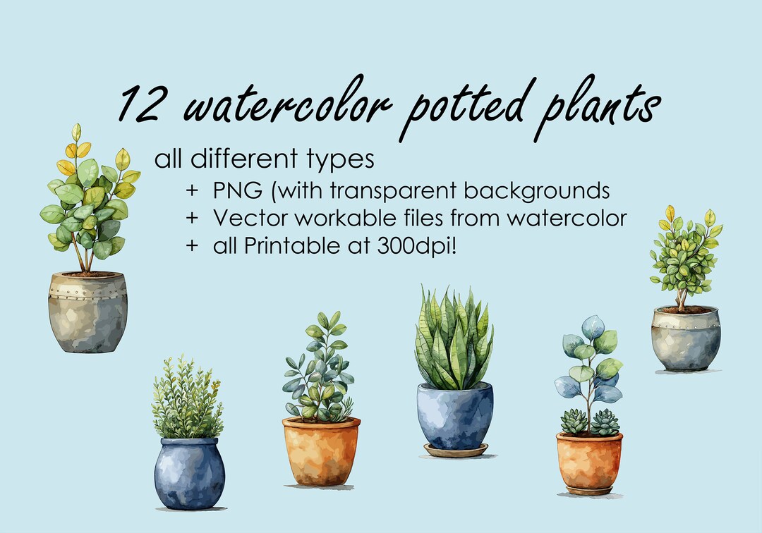 12 Watercolor Potted Plant, Plant Clipart PNG and PDF, House Plant, 2D ...