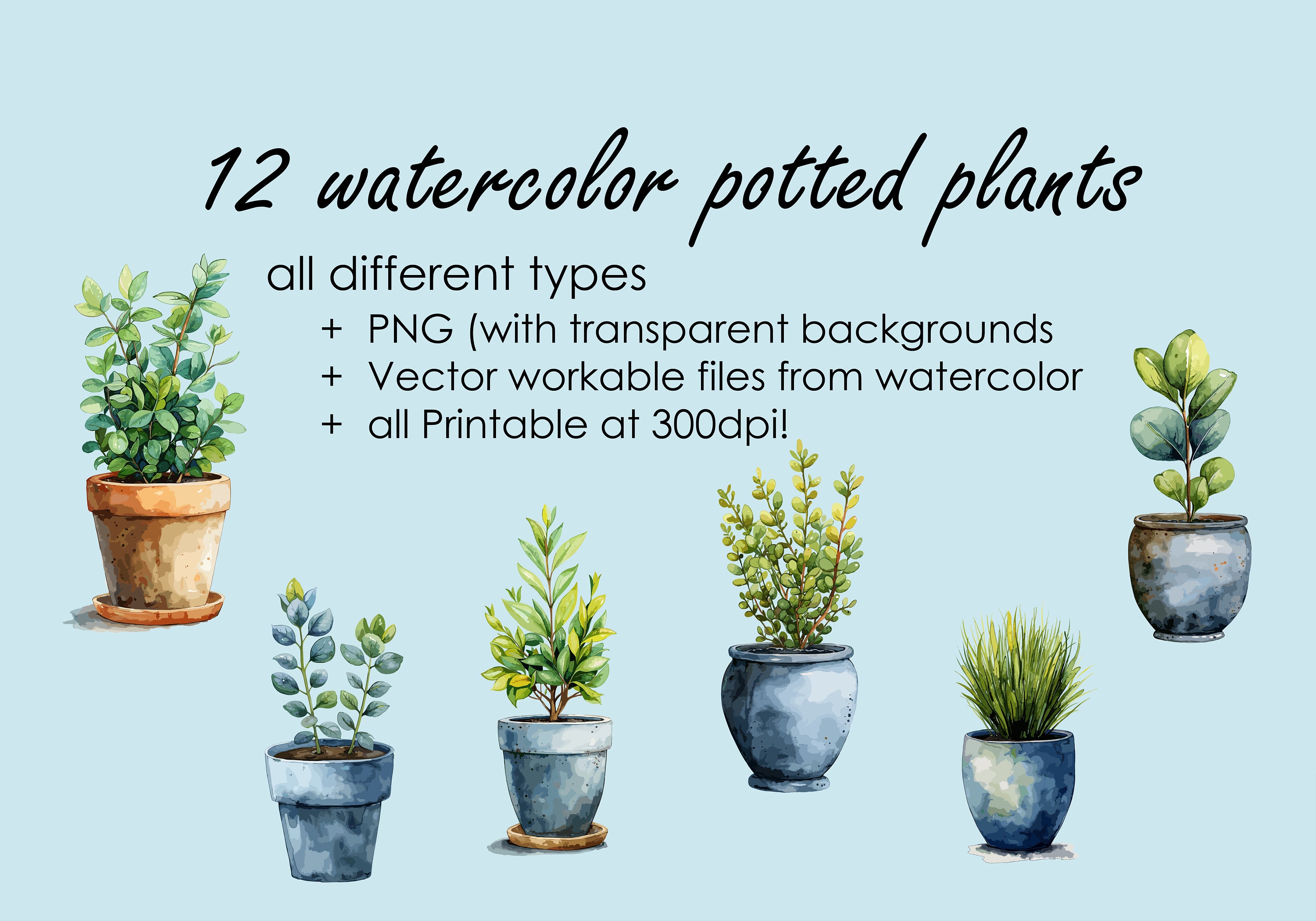 12 Watercolor Potted Plant, Plant Clipart PNG and PDF, House Plant, 2D ...