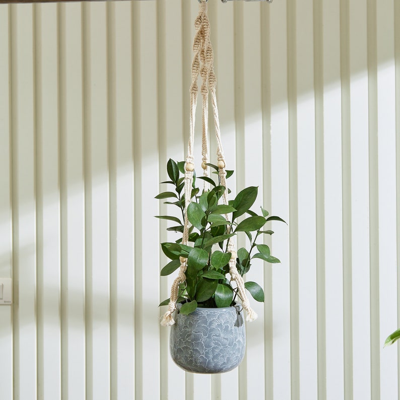 Moonflora Hanging Planter With Macrame Plant Hanger - Boho Wall Decor ...