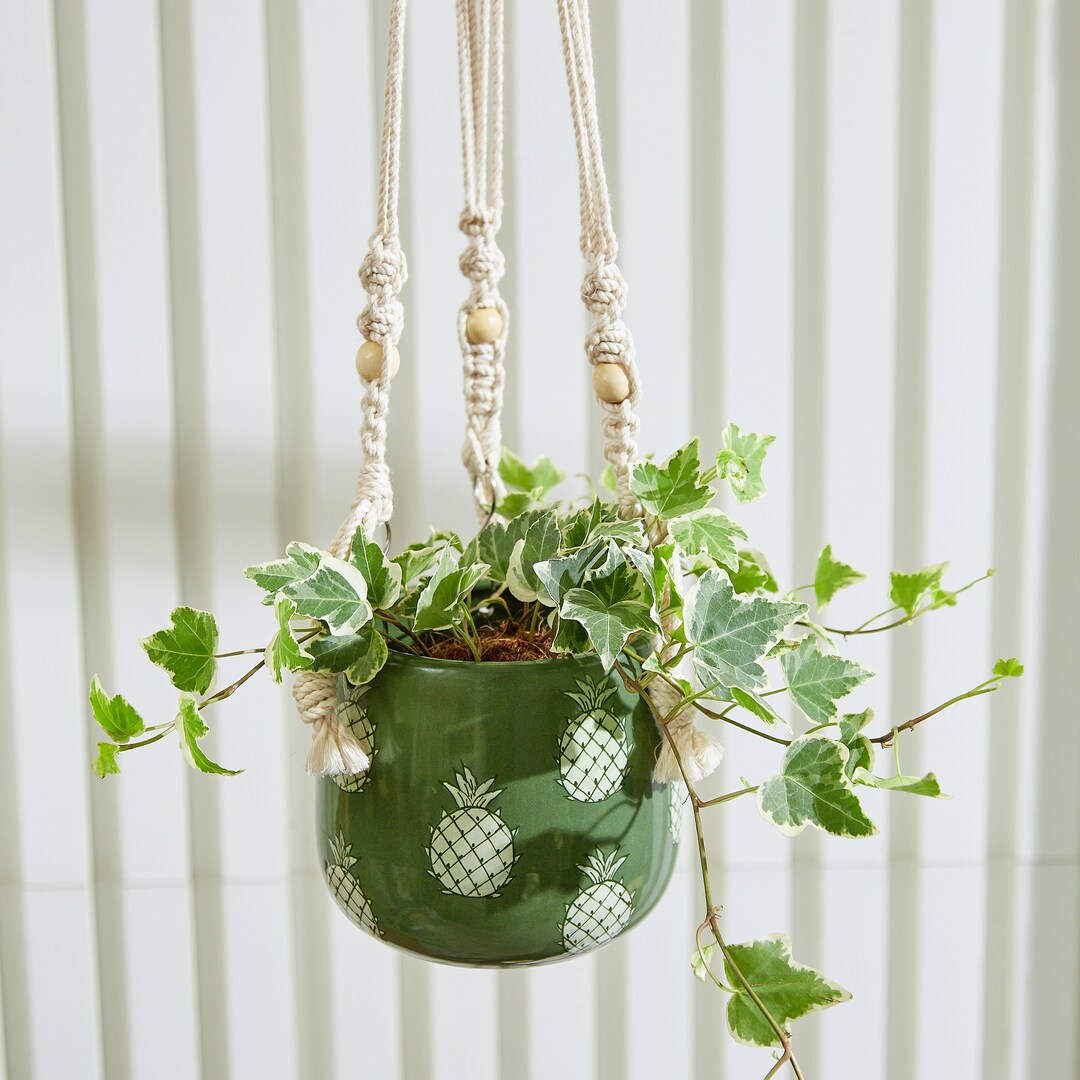 Pinya Hanging Planter With Macrame Plant Hanger - Boho Wall Decor ...