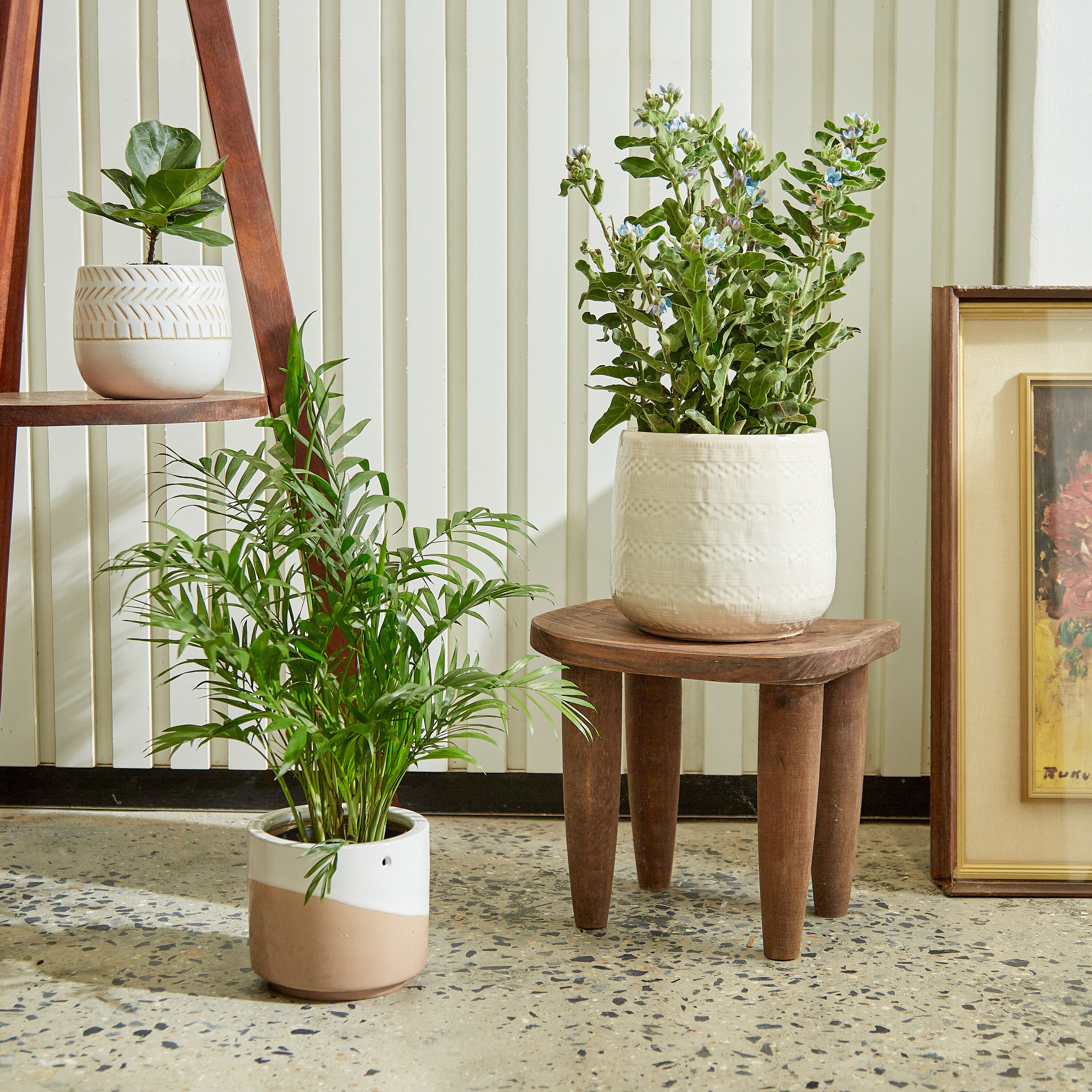 Vitruvian Indoor Ceramic Planter Small Ceramic Planter, Handmade ...