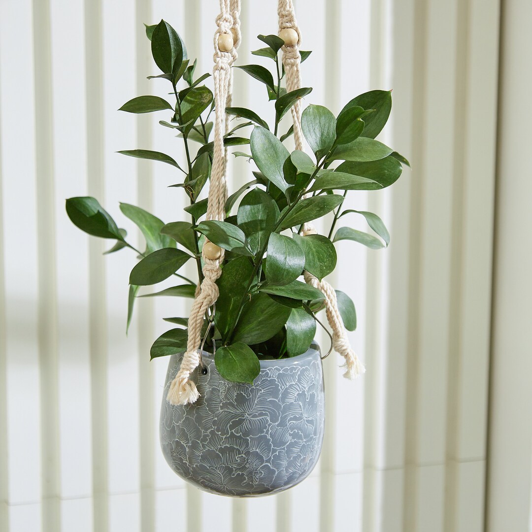 Moonflora Hanging Planter With Macrame Plant Hanger - Boho Wall Decor ...