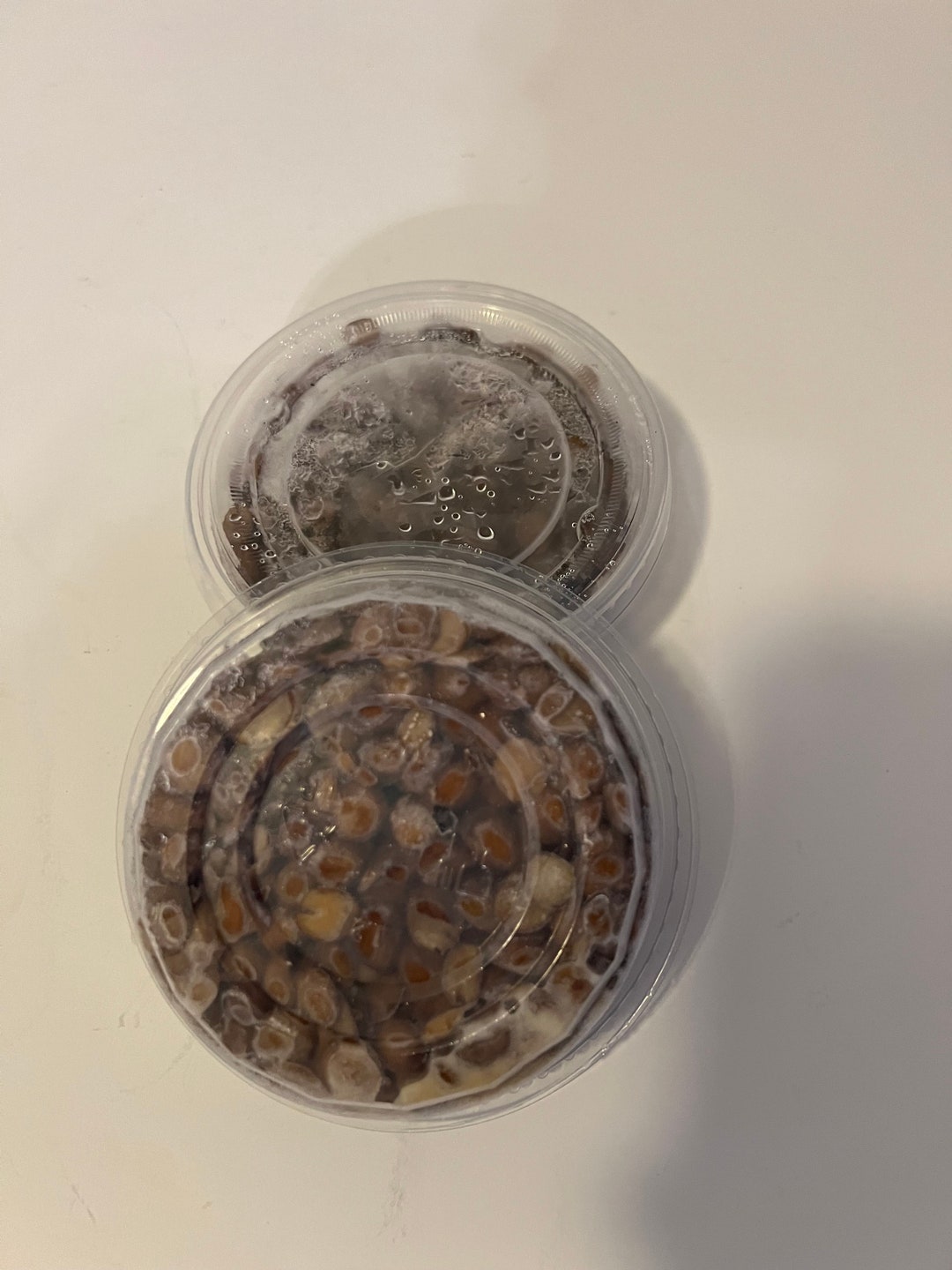 Frozen Iru/locust Beans - Etsy