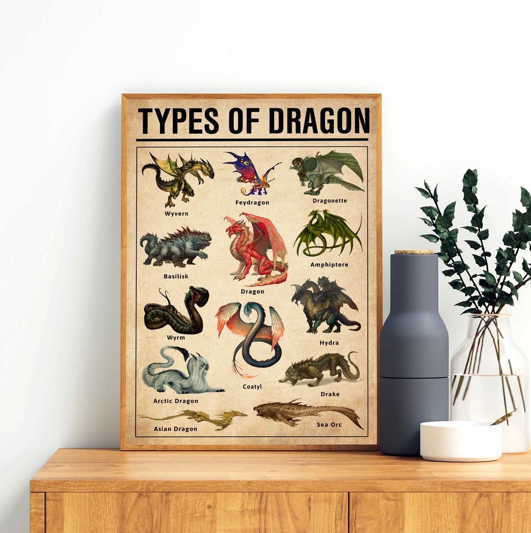 Types of Dragon Knowledge Art Print, Dragon Knowledge Decor, Vintage ...