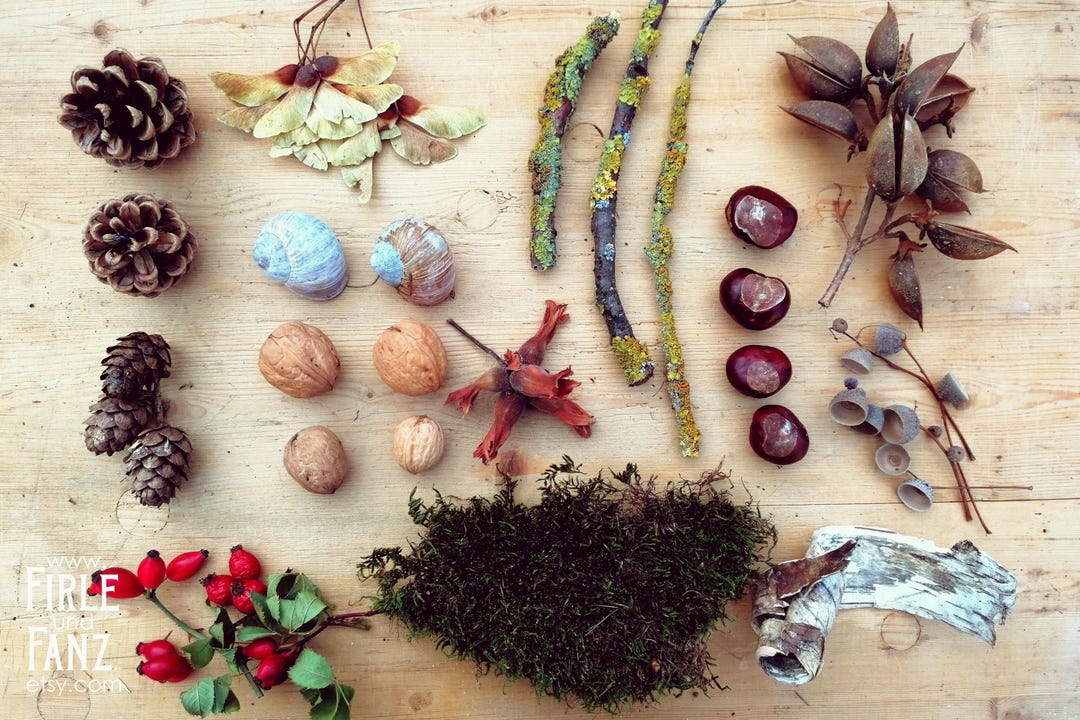 Autumn Creative Kit | Craft Materials | DIY Natural Decorations ...