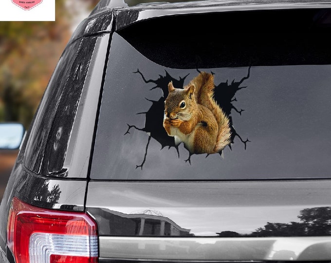 Squirrel Vinyl Decal for Car, Squirrel Bumper Sticker, Animals Vinyl ...