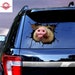Funny Pig Vinyl Decal for Car, Pink Pig Bumper Sticker, Pig Vinyl ...