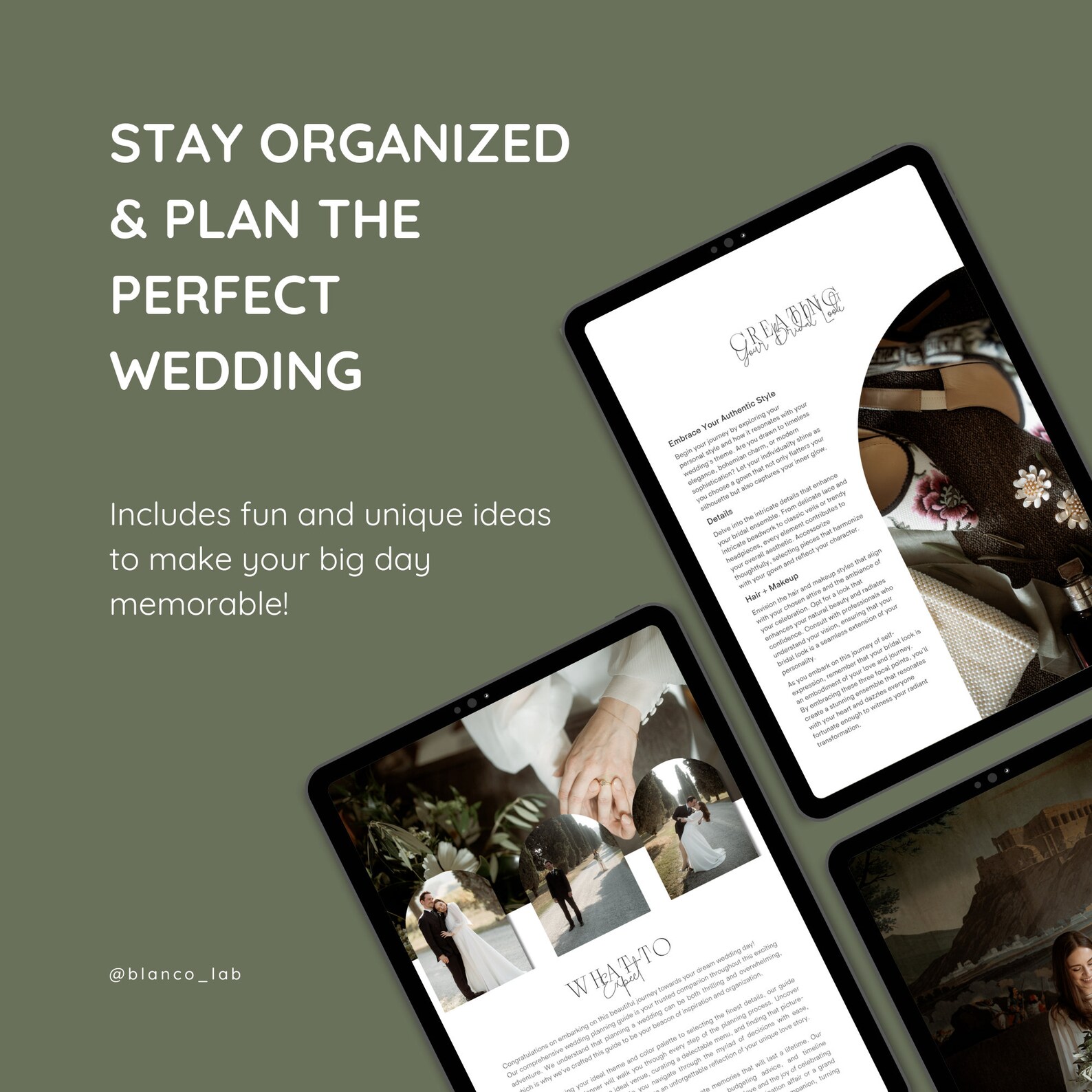 Digital WEDDING PLANNING GUIDE - Etsy