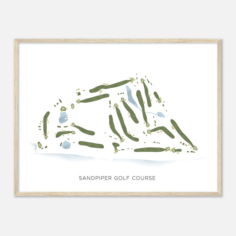 Sandpiper Painting - Etsy