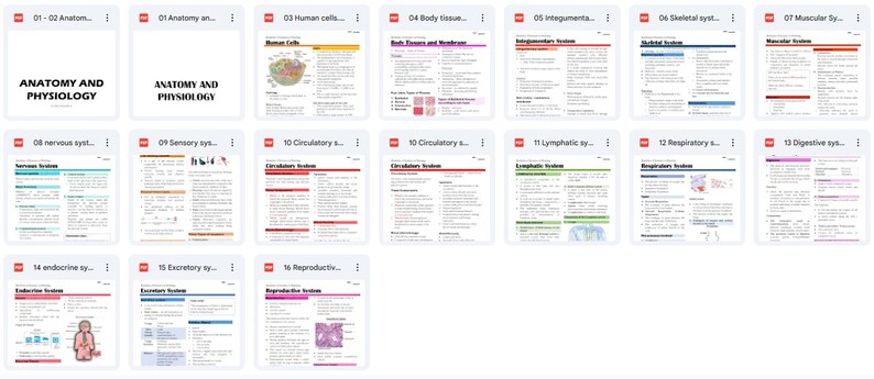 ANATOMY AND PHYSIOLOGY (complete) - Etsy