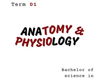 Anatomy and Physiology Notes, Lab Material, Diagrams, and Study Guide ...