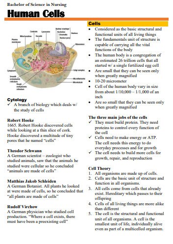 Anatomy and Physiology - Human Cells - Etsy