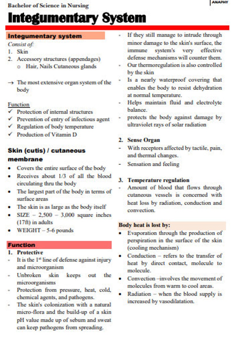 ANATOMY AND PHYSIOLOGY (complete) - Etsy