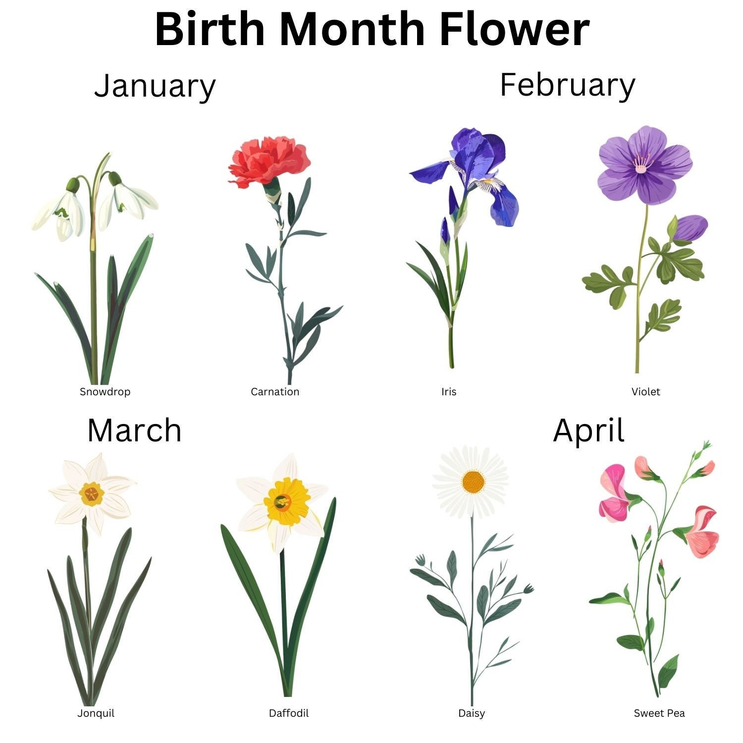 24 Birth Month Flowers Clipart PNG Set Watercolour, Watercolour Floral ...