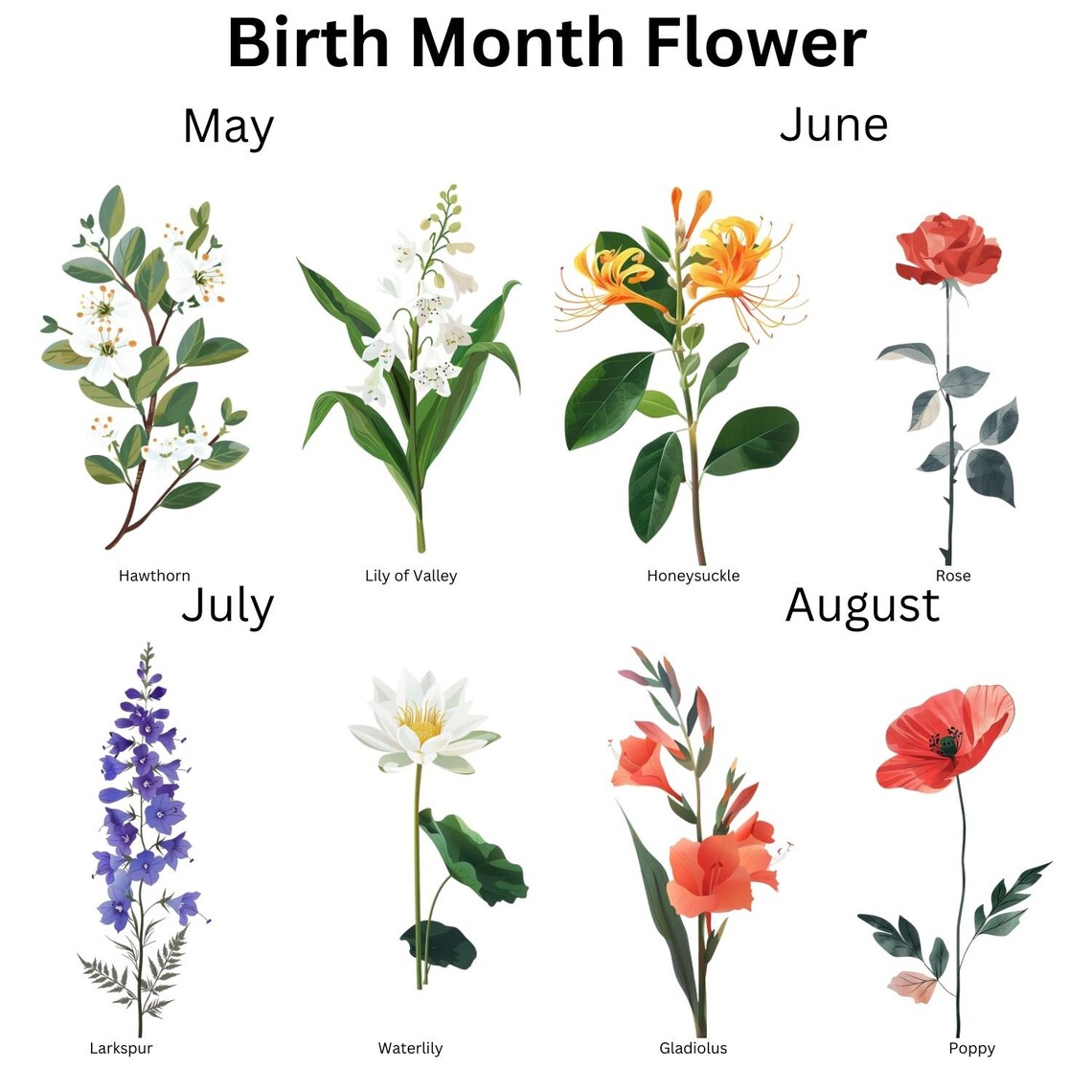 24 Birth Month Flowers Clipart PNG Set Watercolour, Watercolour Floral ...