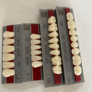 Teeth Full Set B1 Shade Anterior and Posterior - Etsy UK