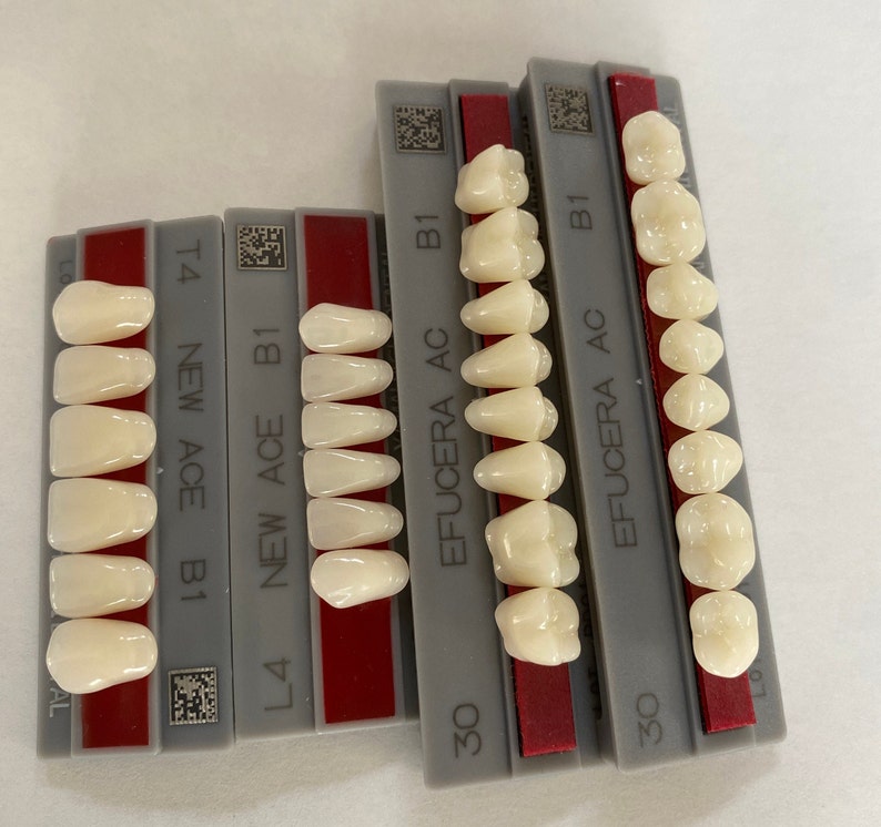 Teeth Full Set B1 Shade Anterior and Posterior - Etsy