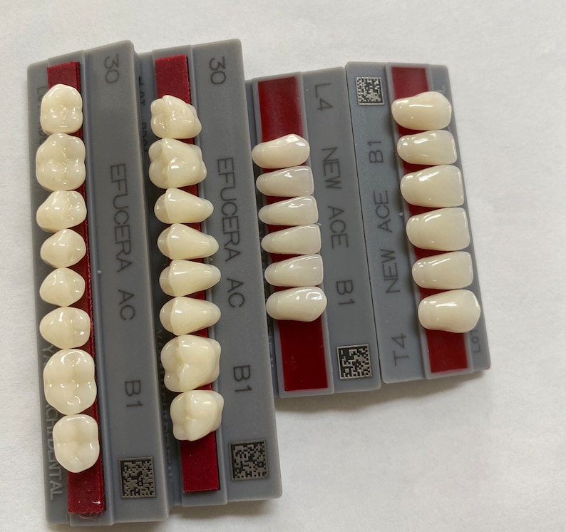 Teeth Full Set B1 Shade Anterior and Posterior - Etsy