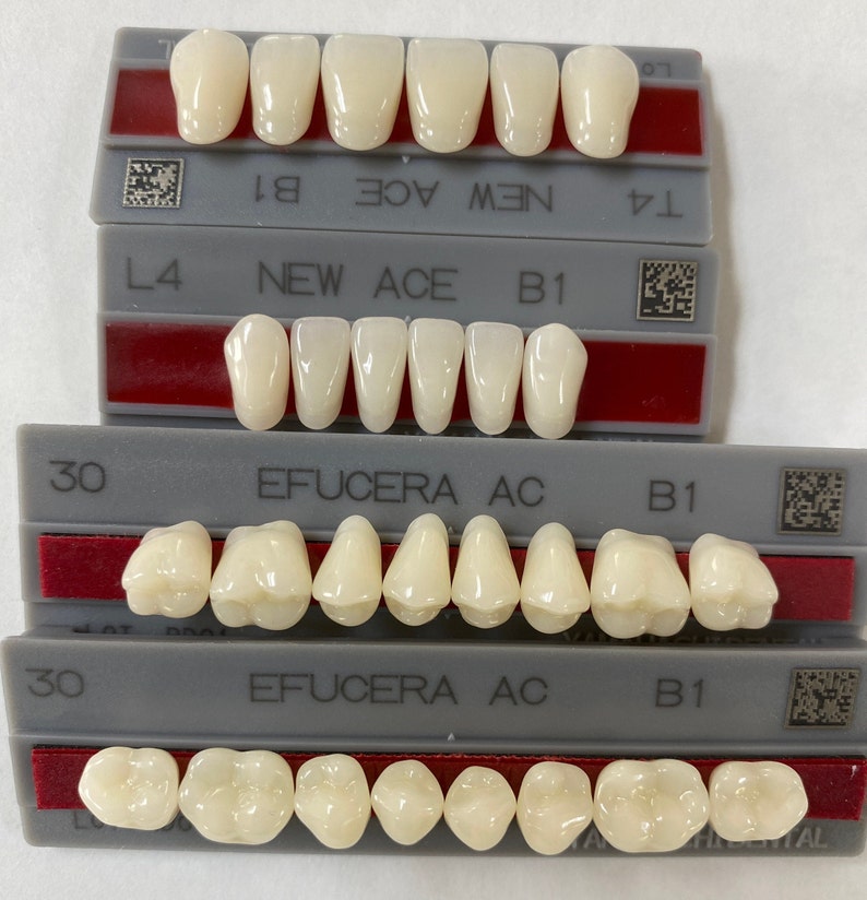 Teeth Full Set B1 Shade Anterior and Posterior - Etsy