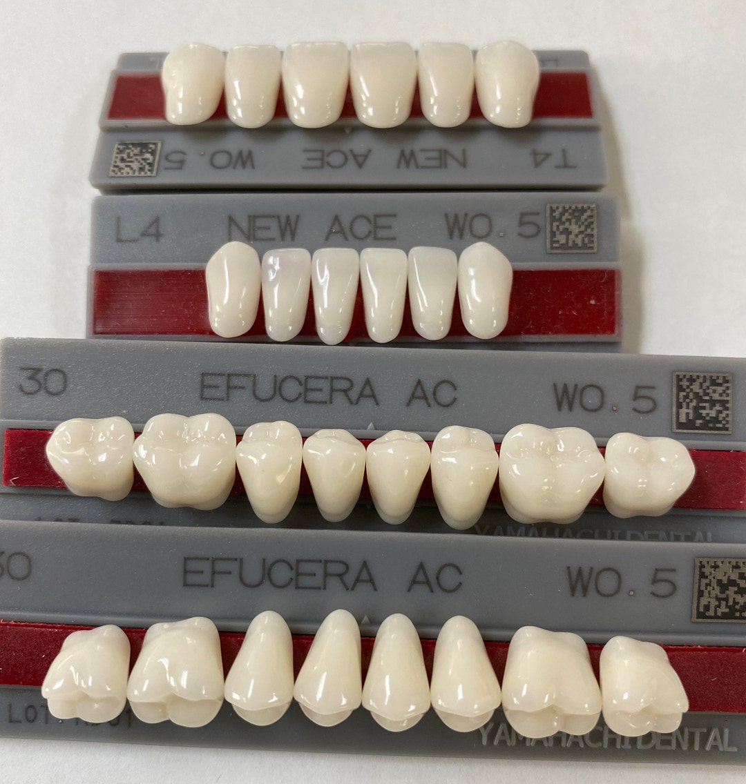 Teeth Full Set White Bleach Shade Anterior and Posterior - Etsy