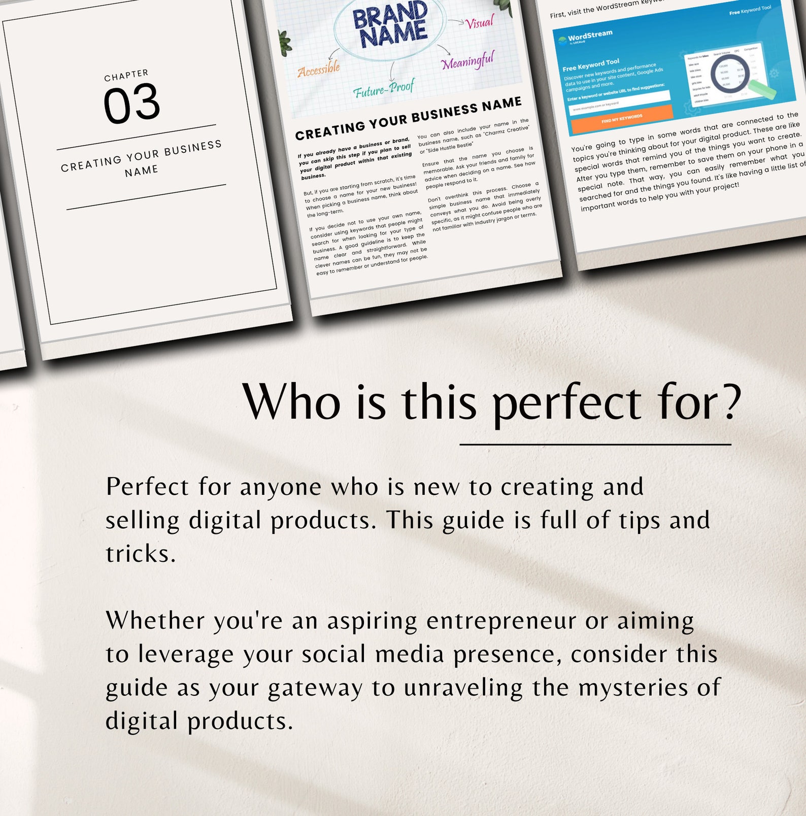 How to Create and Sell Digital Products Guide With Master Resell Rights MRR and Private Label ...
