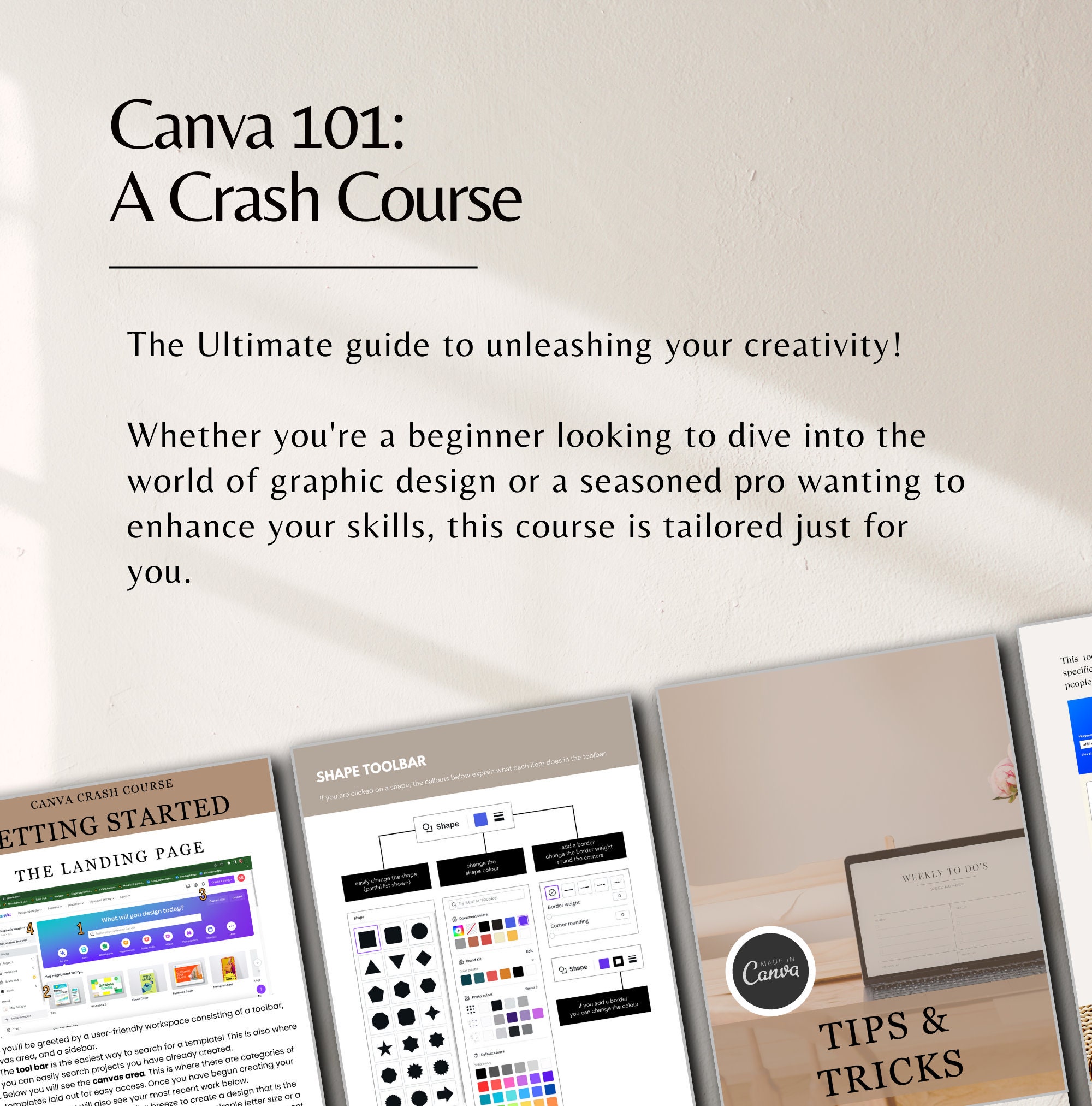 Canva 101: A Canva Crash Course With Master Resell Rights MRR and ... Canva 101: A Canva Crash Course With Master Resell Rights MRR and ...