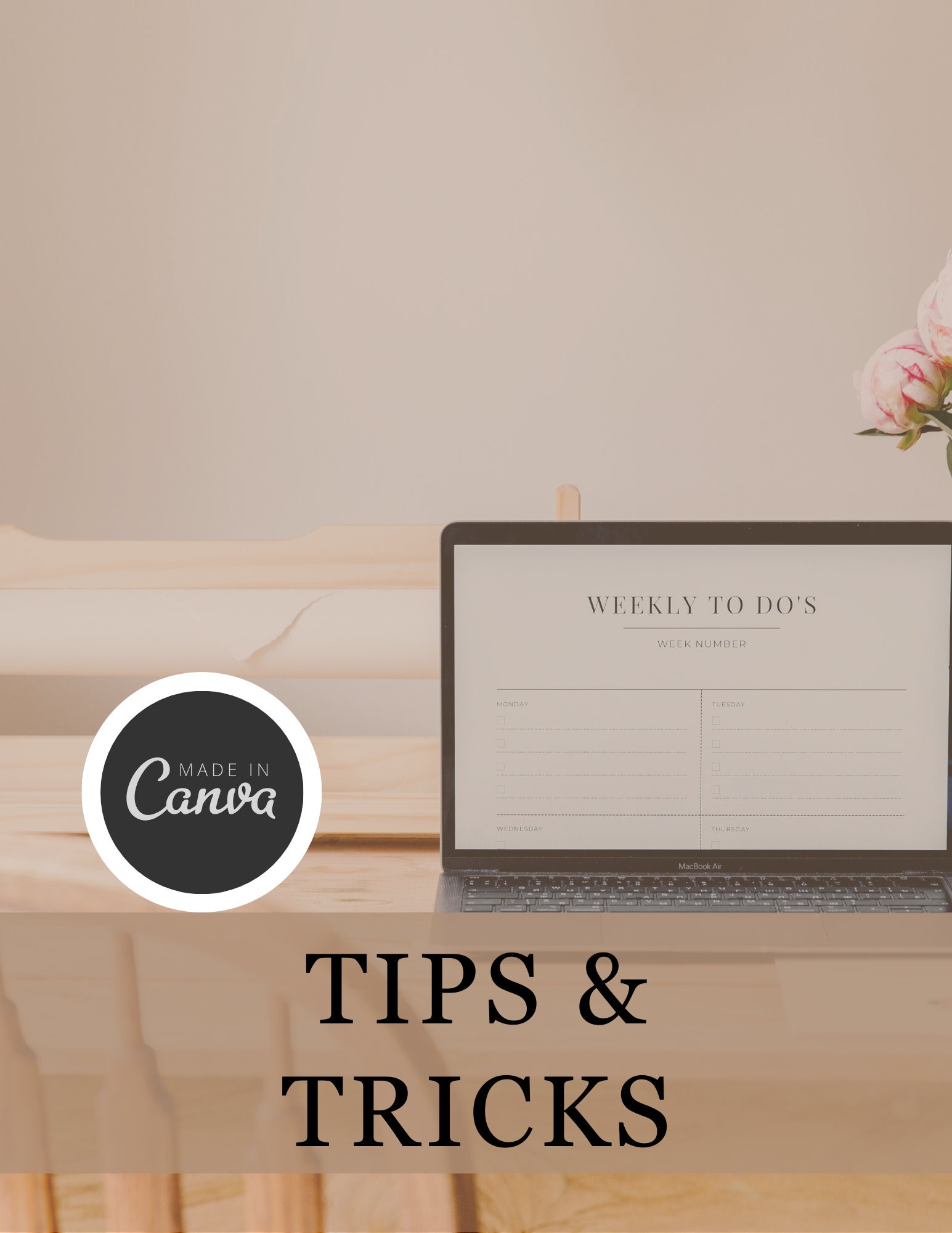 Canva 101: A Canva Crash Course With Master Resell Rights MRR and ...