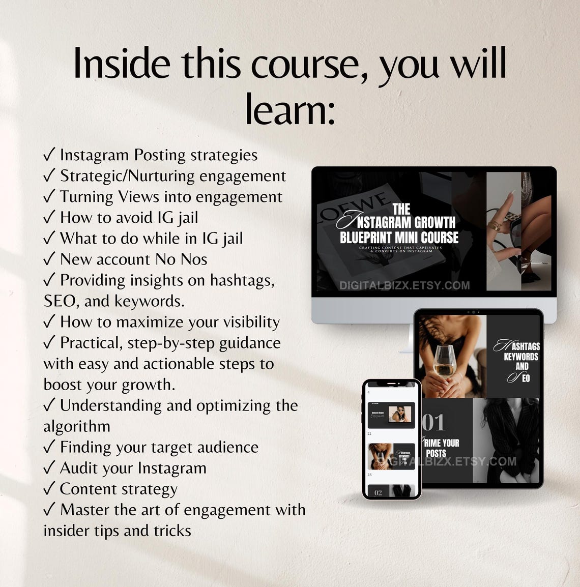 Instagram Growth Blueprint Course With Master Resell Rights MRR PLR ...