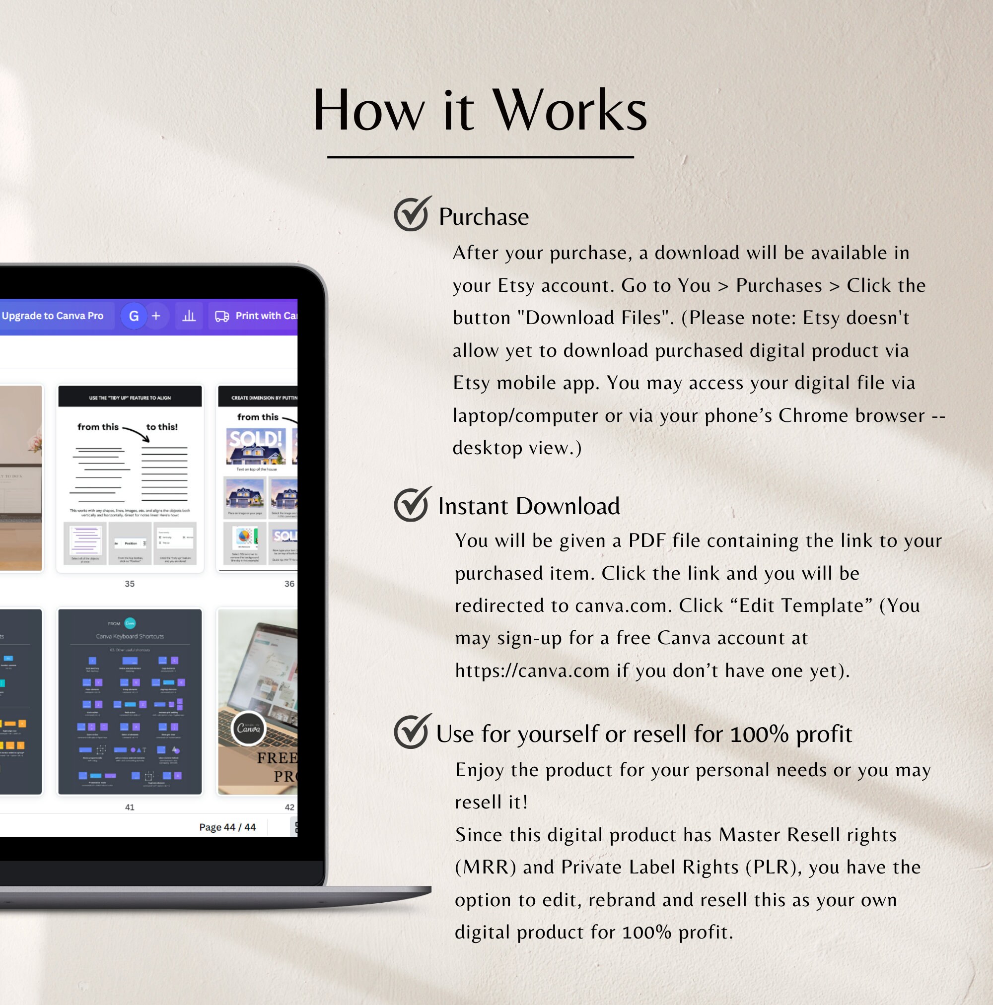 Canva 101: A Canva Crash Course With Master Resell Rights MRR and ...