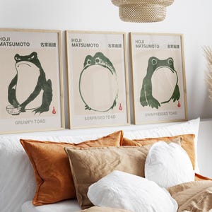 Set of 3 Posters – Grumpy Toad, Surprised Toad, Unimpressed Toad, Hoji ...