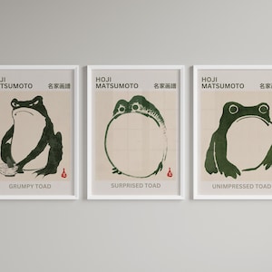 Set of 3 Posters – Grumpy Toad, Surprised Toad, Unimpressed Toad, Hoji ...