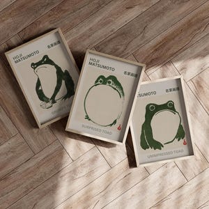 Set of 3 Posters – Grumpy Toad, Surprised Toad, Unimpressed Toad, Hoji ...