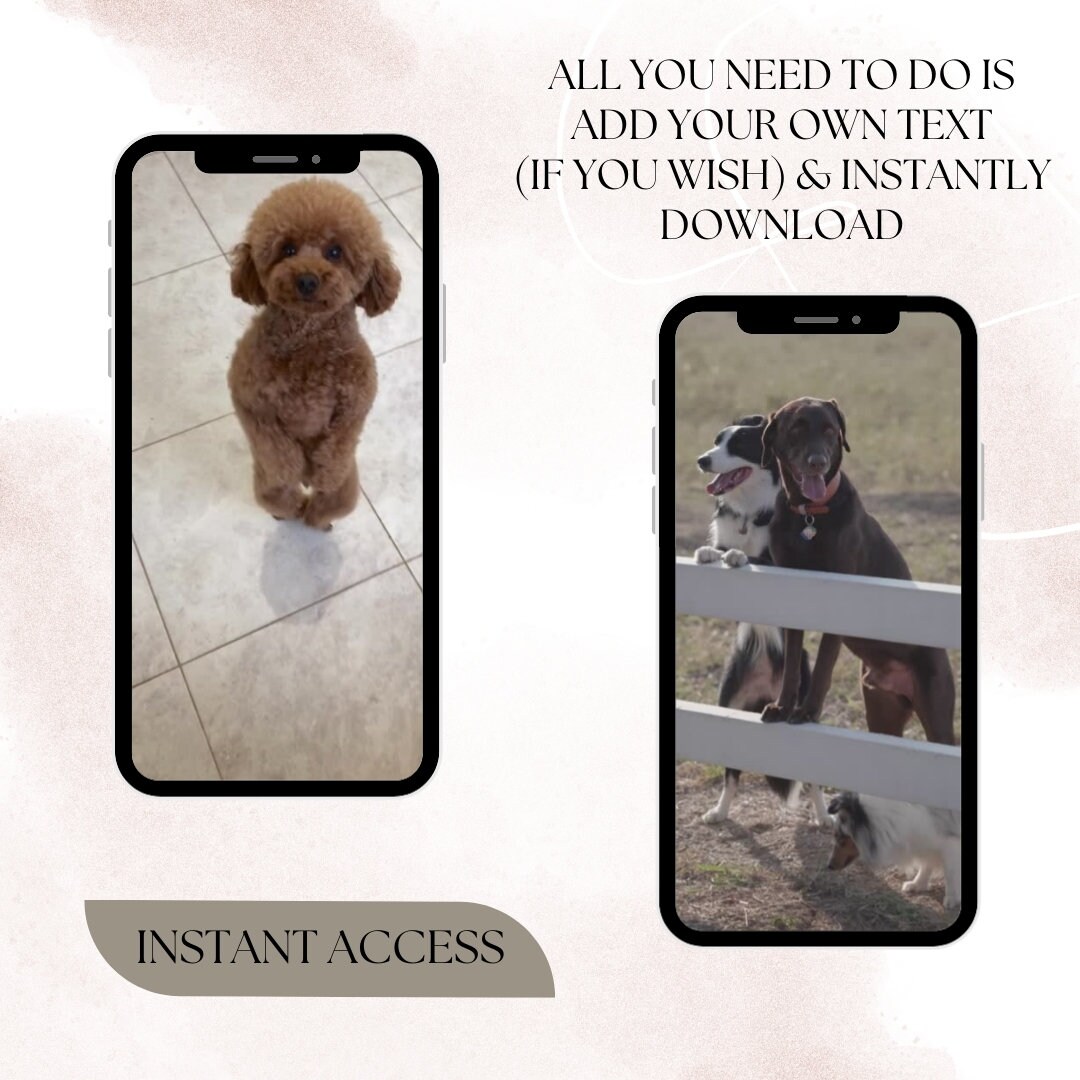 Dogs & Puppies Reel Vault Done-for-you Video Content Faceless Digital ...