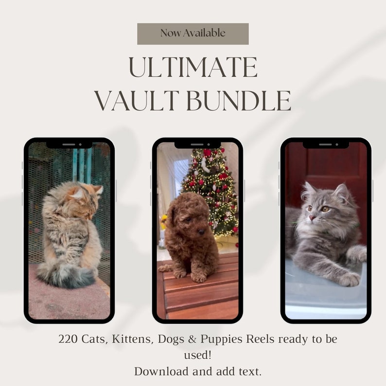 Cats & Dogs Reel Vault BUNDLE Done-for-you Video Content Faceless ...