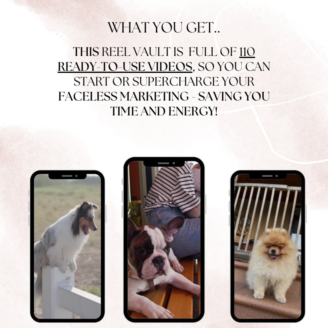 Dogs & Puppies Reel Vault Done-for-you Video Content Faceless Digital ...
