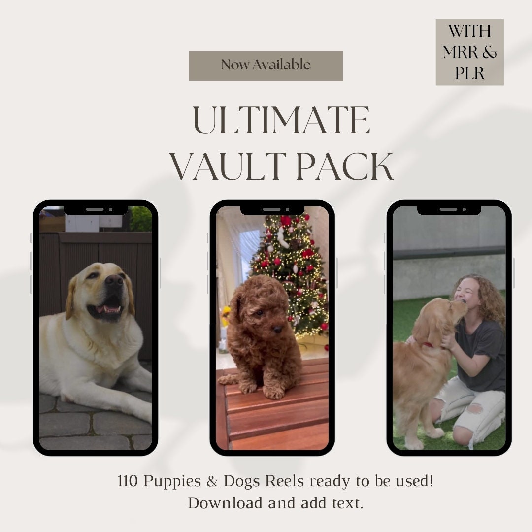 Dogs & Puppies Reel Vault Done-for-you Video Content Faceless Digital ...