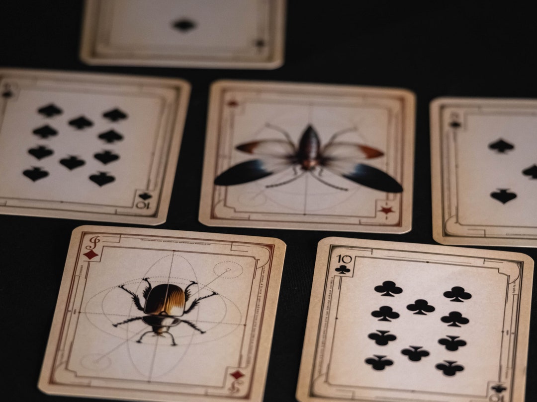 Vintage Insect Bug Playing Cards - Illustrative Poker Set Custom Deck ...