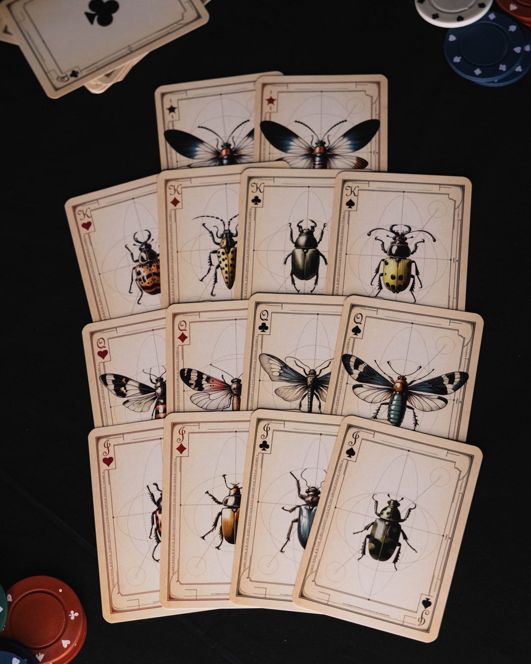 Poker Playing Cards Luxury - Vintage Biology Playing Cards With Insects ...