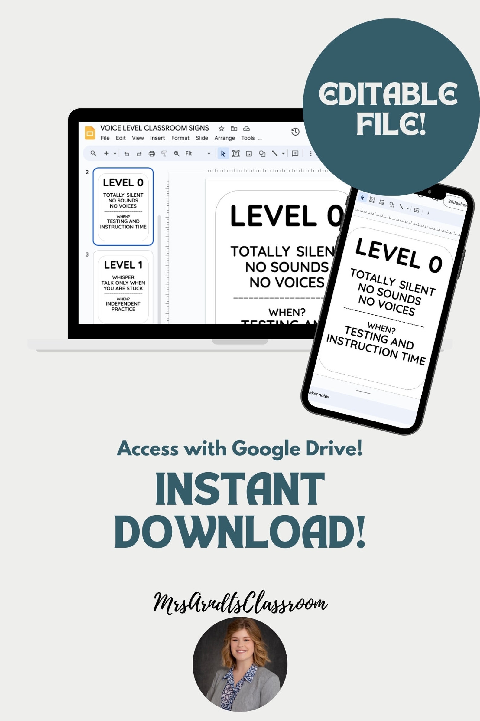 Classroom Voice Level Printable Signs SIMPLE ELEGANT - Etsy