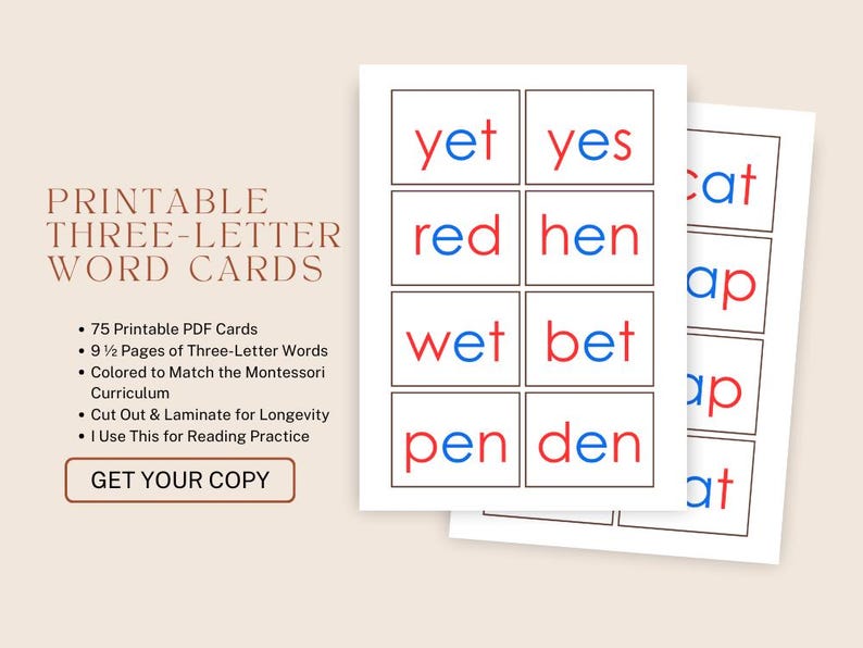 Montessori Three-letter Word Cards - Etsy
