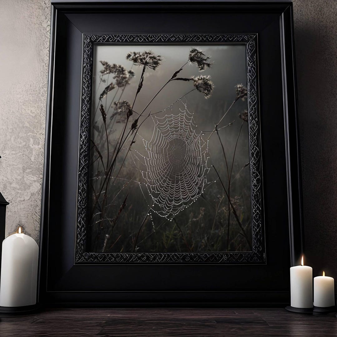 Spider Web Mural With Dew Drops in the Misty Field as Mystical Nature ...