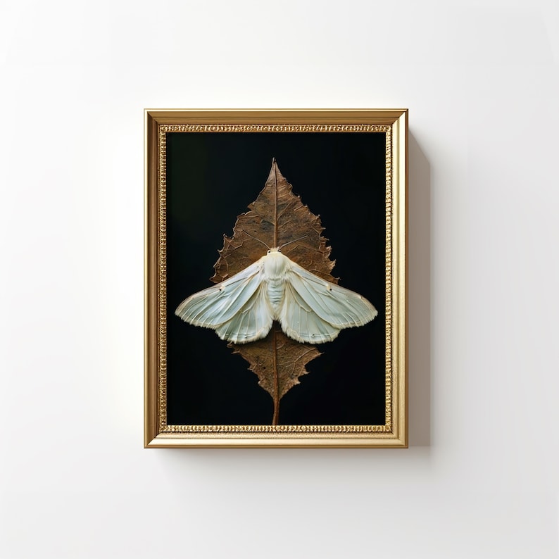 White Moths: Melancholy Moody Moth Poster, Gothic Painting, Victorian ...